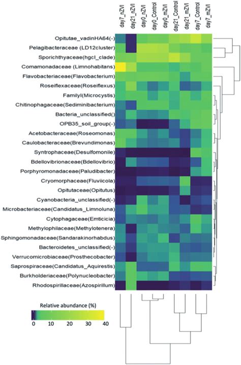 Heatmap Indicating The Relative Abundance Of The Major Bacterial Download Scientific Diagram