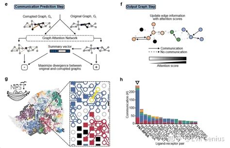 10x空间转录组neural Network On Spatial Transcriptomics 腾讯云开发者社区 腾讯云