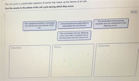 Solved The Cell Cycle Is A Predictable Sequence Of Events
