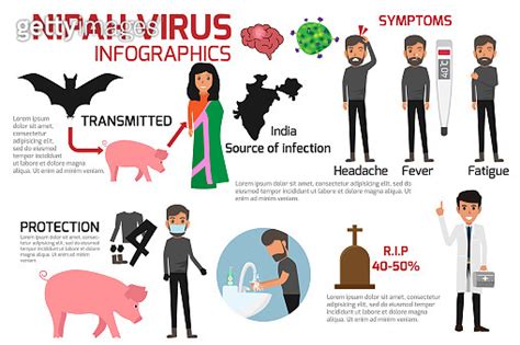 Nipah Virus Niv Infographics Is A Newly Emerging Zoonosis That Causes