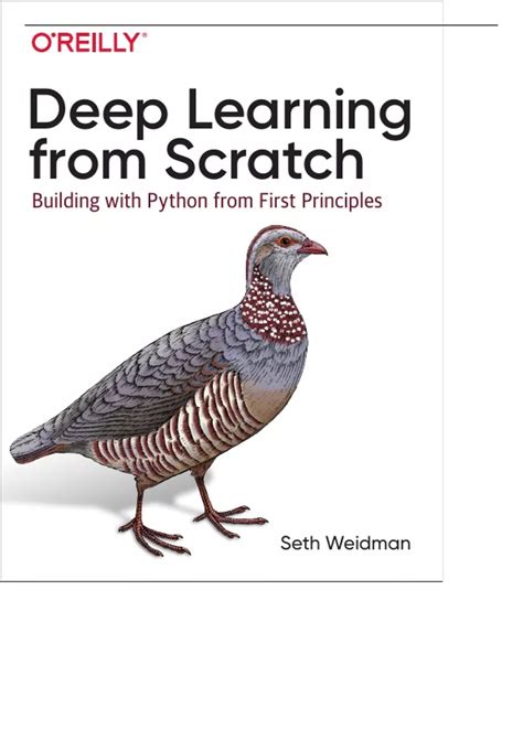 Deep Learning From Scratch Building Neural Networks With Python Deep Learning And Neural