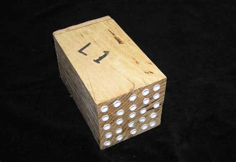 The Best Bee Nest Block Bee Mentor Beekeeping Native Bees