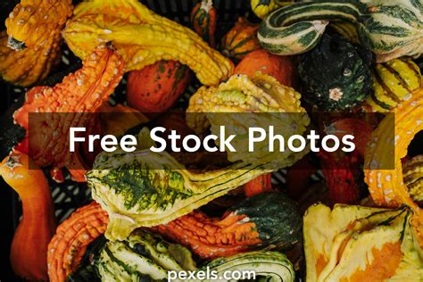 Ugly Color Palette Photos Download The Best Free Ugly Color Palette