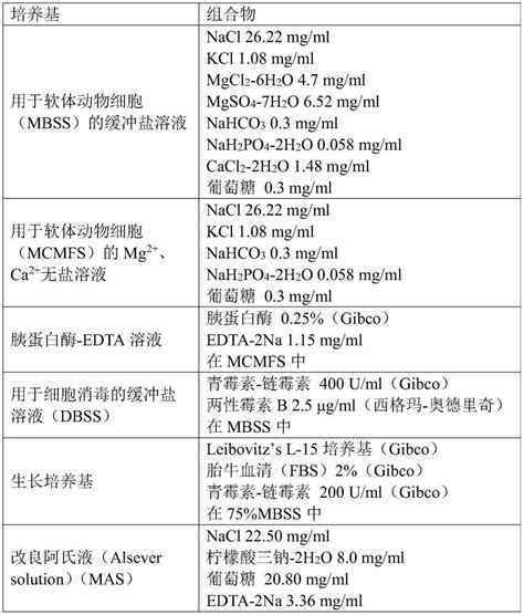一种新型启动子