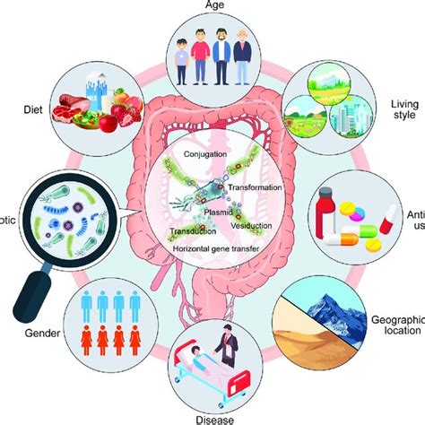 Factors Affecting The Patterns Of Antibiotic Resistome In Gut
