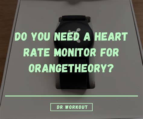 11 Best Push Up Bars And Push Up Handles For Home Gym In 2023 [buying Guide]