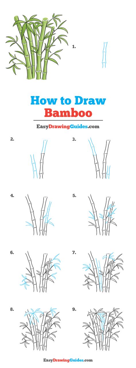 How To Draw Bamboo HOWTOSF