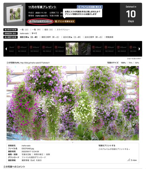 よくあるご質問30daysAlbum 30デイズアルバム からの画像ダウンロード方法 千葉の女性フォトグラファーなかがわさとみのサイト