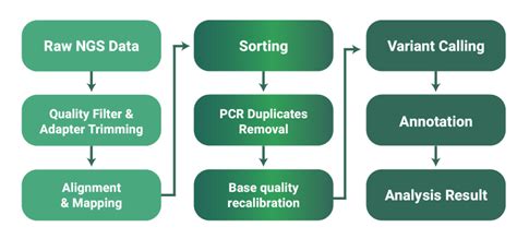 생물정보학bioinformatics Ngs 데이터 표준 분석 파이프라인 소개 ㈜셀레믹스