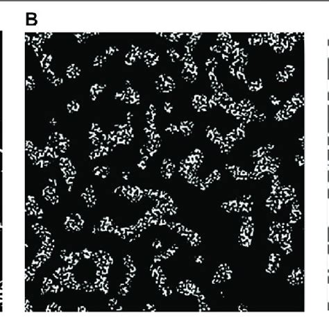 Virtual Microstructures Generated By A Levelled Wave Method B Download Scientific Diagram