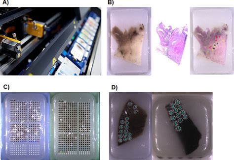 A Up To 60 Blocks Can Loaded Into The Tissue Microarrayer Namely 10 Download Scientific