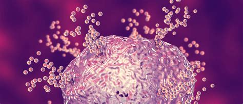 The Applications Of Exosomes Ask The Experts Regmednet