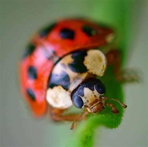 Mary Boschetti Photography Home