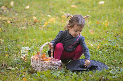 할로윈 축하 가을 잎녹색 잔디밭에서 마녀 모자를 쓰고 노는 검은 드레스를 입은 귀여운 유아 소녀 10월에 대한 스톡 사진 및 기타 이미지 Istock