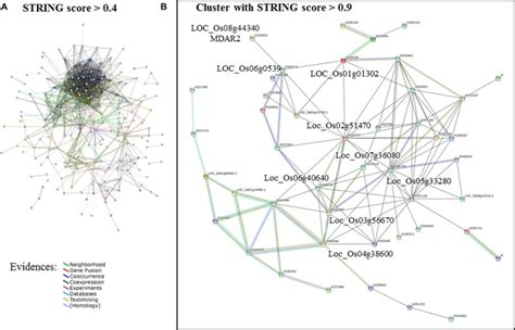 Microarray Meta Analysis Focused On The Response Of Genes Involved In Redox Homeostasis To