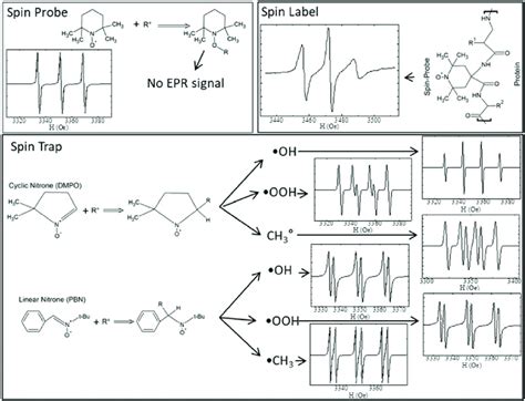 Epr Detection Of Nanozyme Catalytic Activity Using Spin Probes Download Scientific Diagram