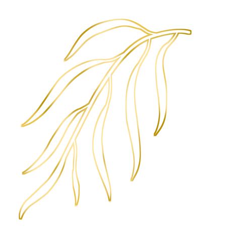 Gold Leaf Illustration PNG