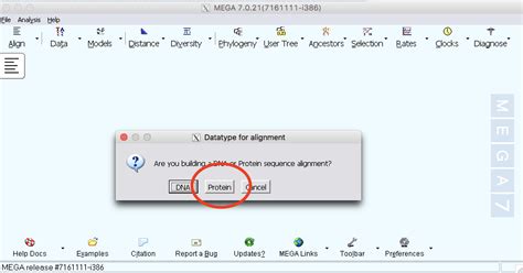 Multiple Sequence Alignments Inclass Activities Documentation