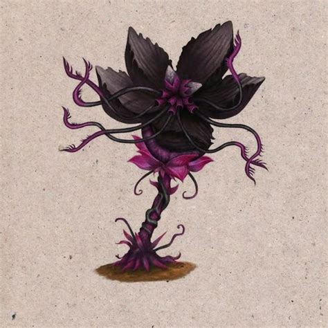 Fiery Flower
