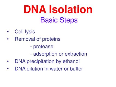 Ppt Dna Isolation Powerpoint Presentation Free Download Id 1469856