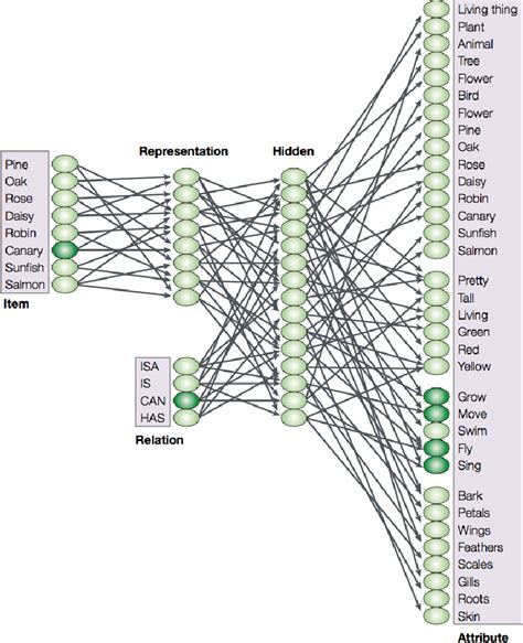 Figure 2 From Interactions Between Episodic And Semantic Memory