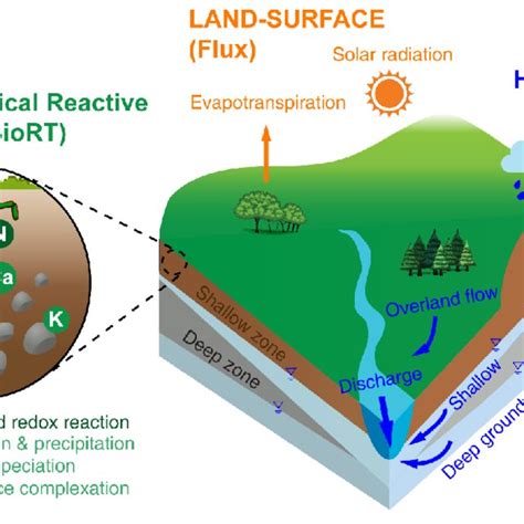 Pdf Biort Flux Pihm V10 A Watershed Biogeochemical Reactive Transport Model