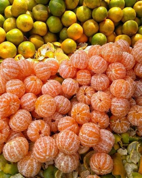 පලතුරු පැල Facebook