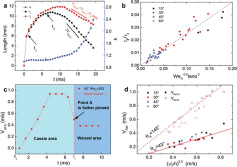 quantitative validation of the droplet asymmetric retraction model a
