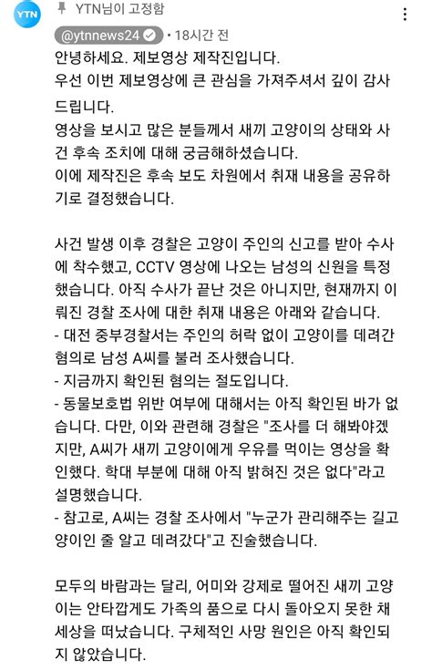 더쿠 새끼 고양이가 사라졌다 CCTV 보니 황당 제보영상 YTN