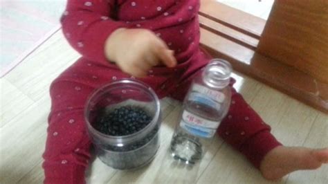 14개월아기 놀이소근육 발달 놀이 네이버 블로그