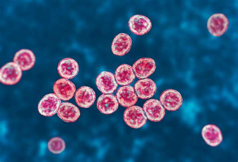 Causes People Become Infected With The Superbug Mrsa In Hospitals