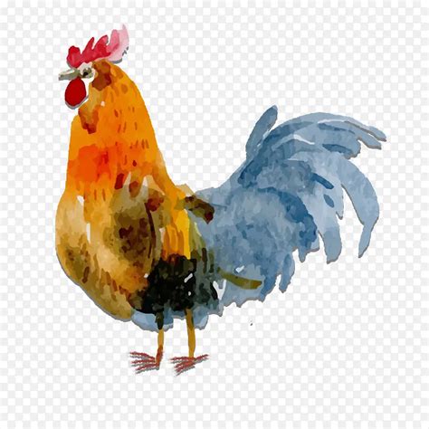 Png Png