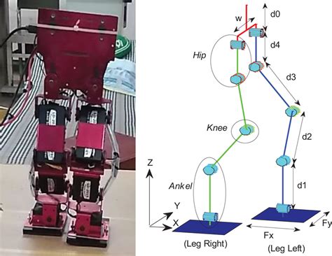 Image And Model Of Experiment Hubot 4 Biped Robot Download Scientific Diagram