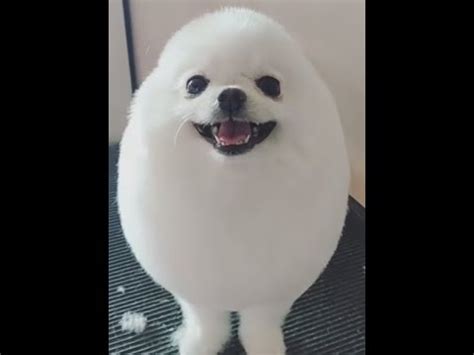 Java物件導向 重觀念迅速教學 封裝 Encapsulation 到底為何封裝 為何使用Getter和Setter YouTube