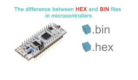 The Difference Between Hex And Bin Files In Microcontrollers Blog Ampheo