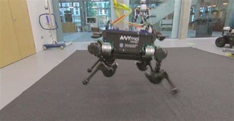 Highly Dynamic Jump Motions Can Be Generated For Both Bipedal And Download Scientific Diagram