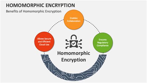 Homomorphic Encryption PowerPoint And Google Slides Template PPT Slides
