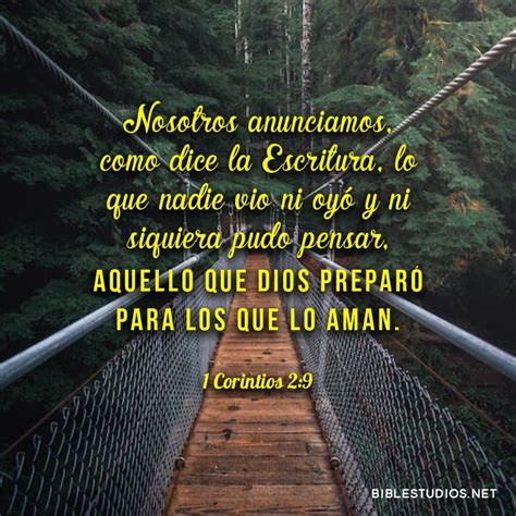 Versículos De La Biblia Sobre El Amor Versículos Para Comenzar Bien