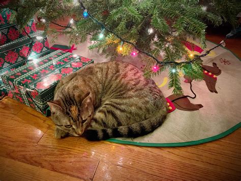 Best Present Scrolller