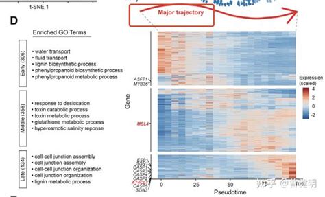 拟时序分析的10个步骤 知乎