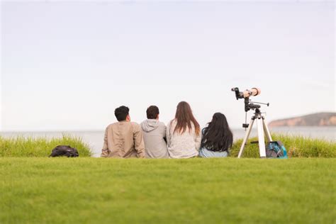 Sexual Healthcare In New Zealand NauMai NZ