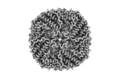 Skye Spencer Science Aaas