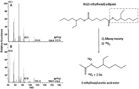 Positive Ion Mass Spectra Of 2 Ethylhexyl Acetic Acid Ester G