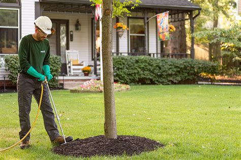 Tree Inventory Tool For Parks Treekeeper Tree Inventory Davey Tree