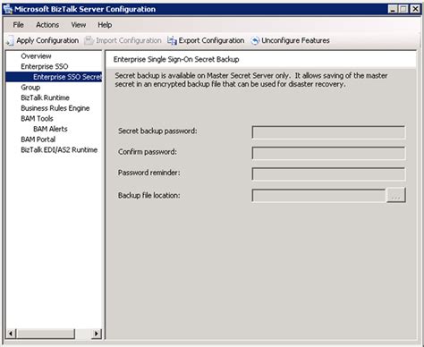 Biztalk Custom Configuration Enterprise Sso Secret Backup Tab Screen