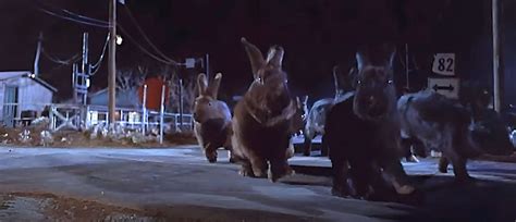 Night Of The Lepus