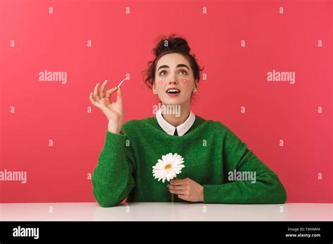 Pretty Nerd Girl Sitting At The Table Isolated Over Pink Background Holding Camomile Stock