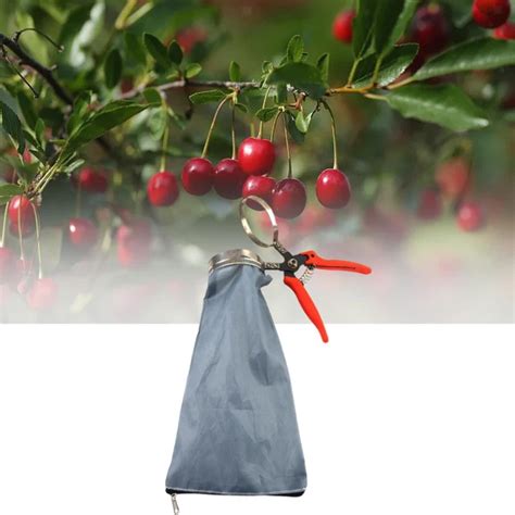 Garden Pepper Picker Fruit Picker Cherry Mulberry Picker Labor Saving