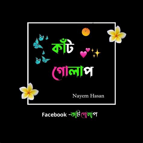 Md Abul Hasan Apon