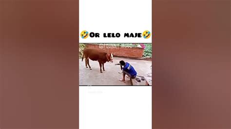 Aur Lelo Maje Youtube